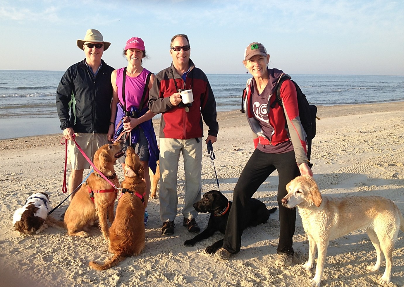 (Field) Dogs on the Beach | The Science Dog
