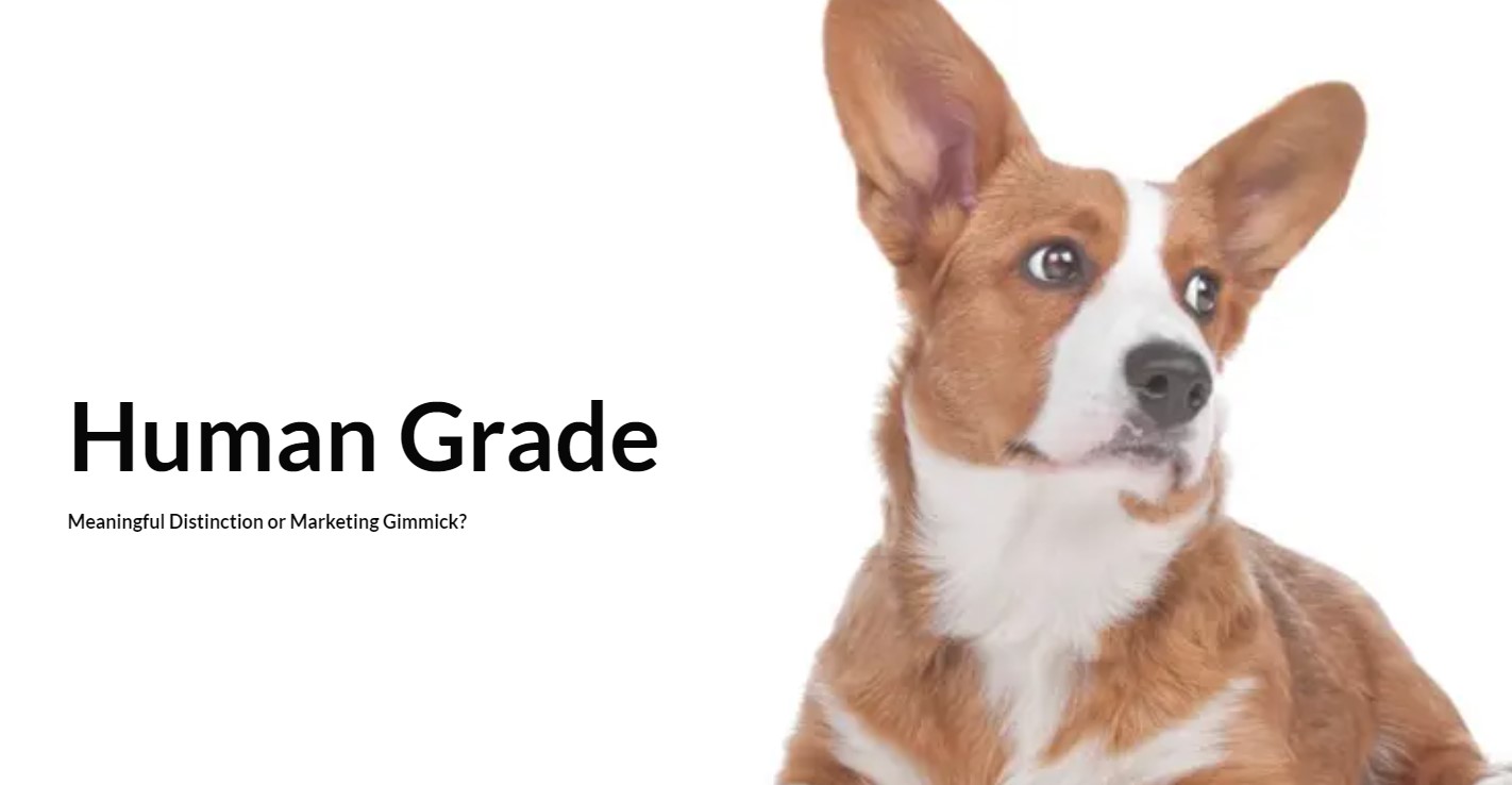 Free Webinar and Course Preview | The Science Dog
