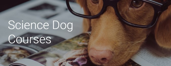 Your Dog’s Microbiome – What You Should Know | The Science Dog