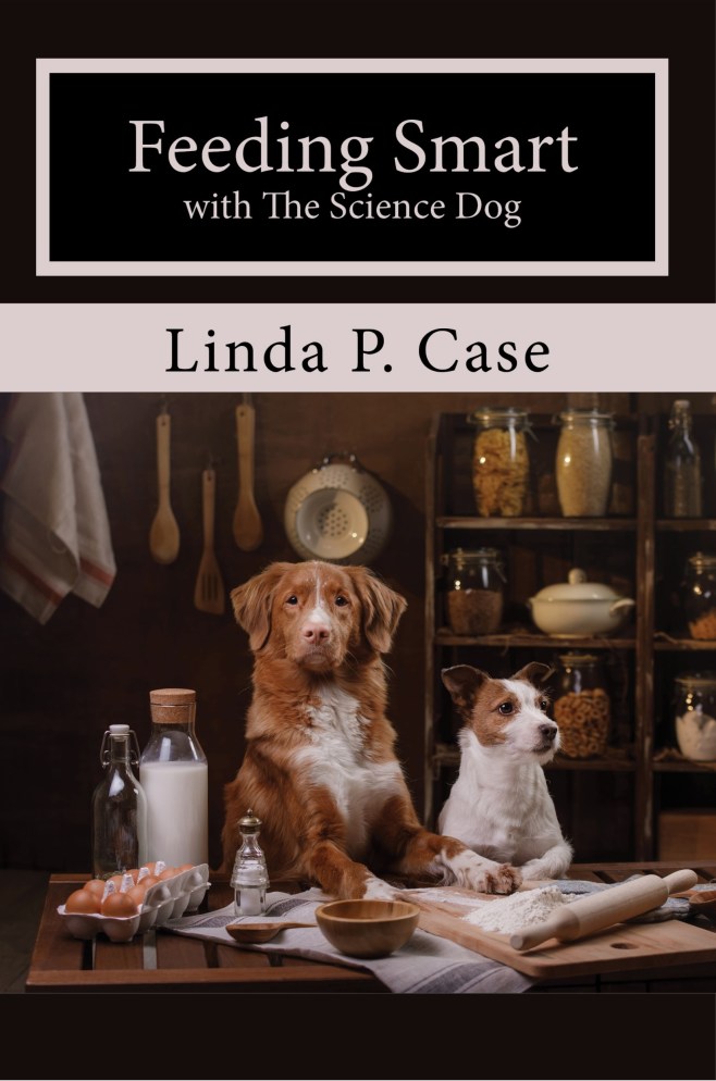 Enrichment Activities | The Science Dog