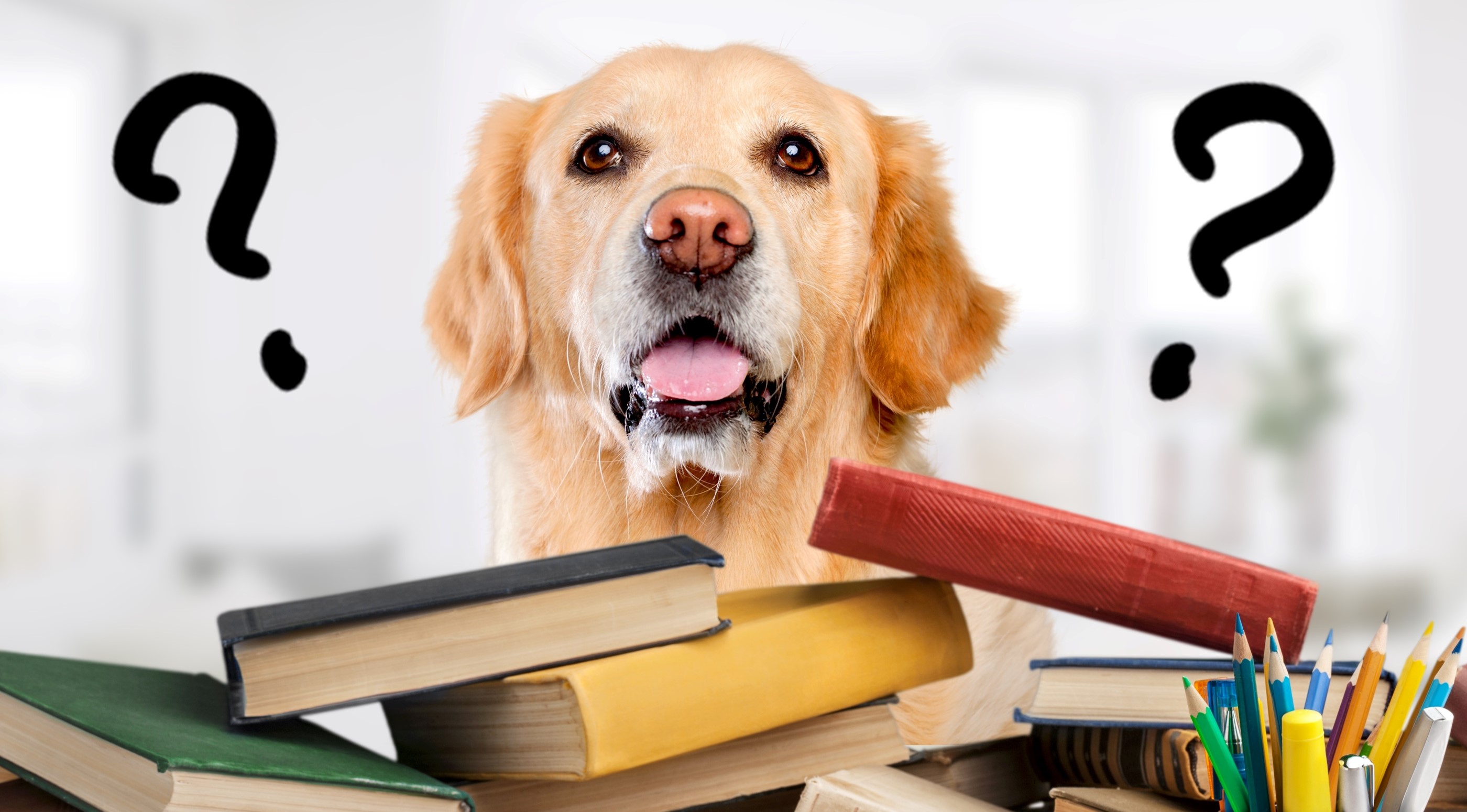 New Science Dog Webinars! | The Science Dog